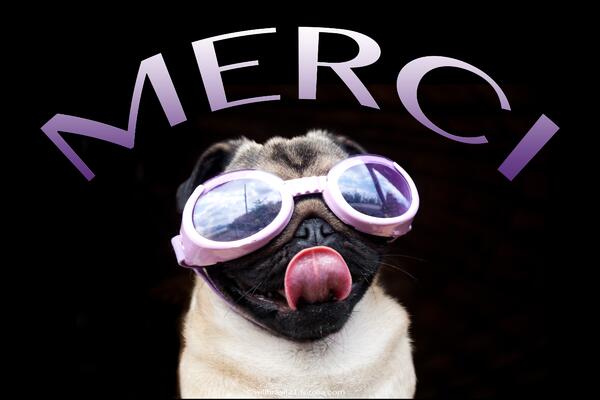 Carte virtuelle «Merci chien» - Remerciements gratuits