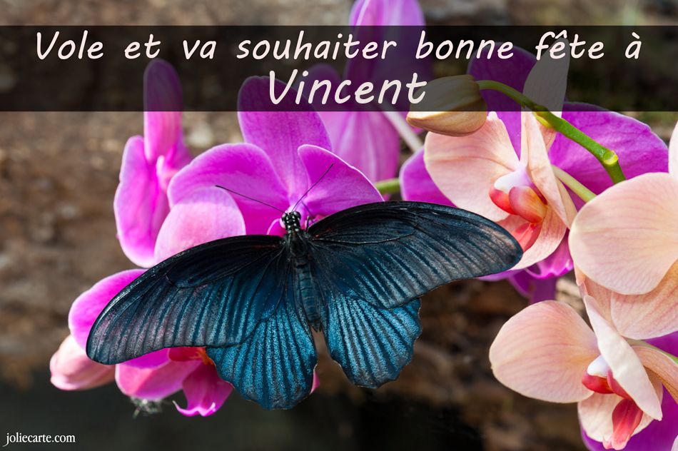 Cartes virtuelles bonne fête Vincent