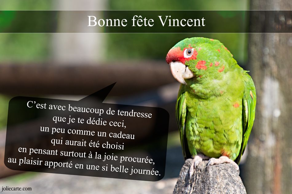 Cartes virtuelles bonne fête Vincent